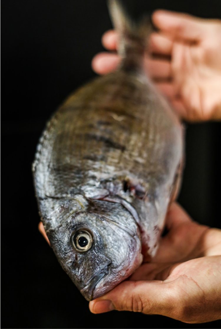 Poissonnerie Viot